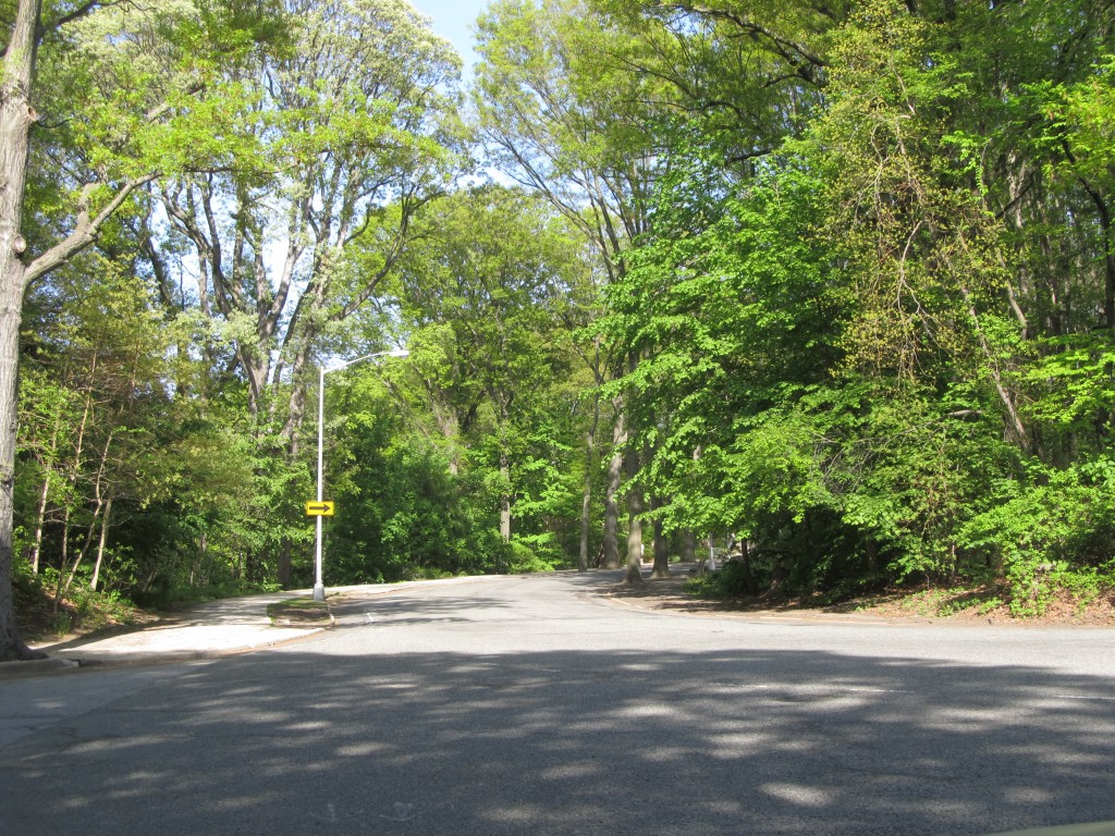 Woodhaven Memorial Trees to be decorated in Forest Park – QNS.com