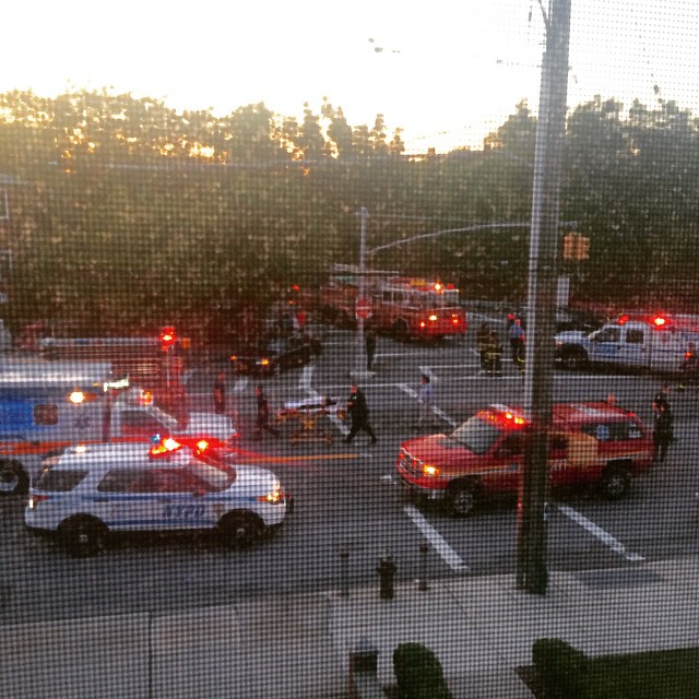 Attempted robbery, car chase ends after crash into Whitestone home – QNS