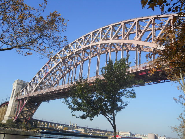 Man found dead under Hell Gate Bridge in Astoria Park – QNS