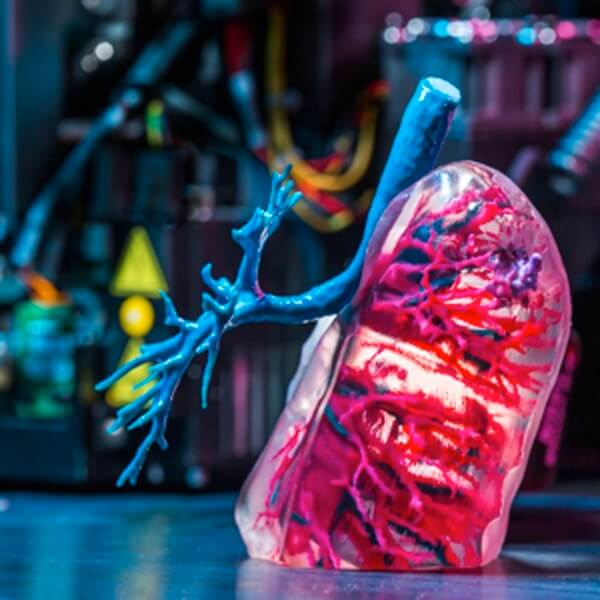 QCC adds a top-of-the-line 3D printer to its lab – QNS