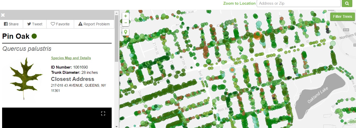 Explore every street tree in Queens with the city’s new street tree map ...