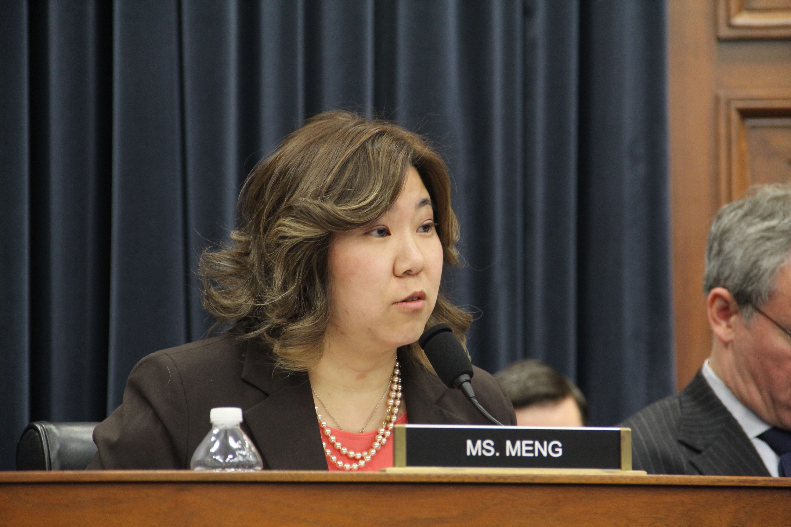 Meng introduces a bill combating gender-based violence against women in ...