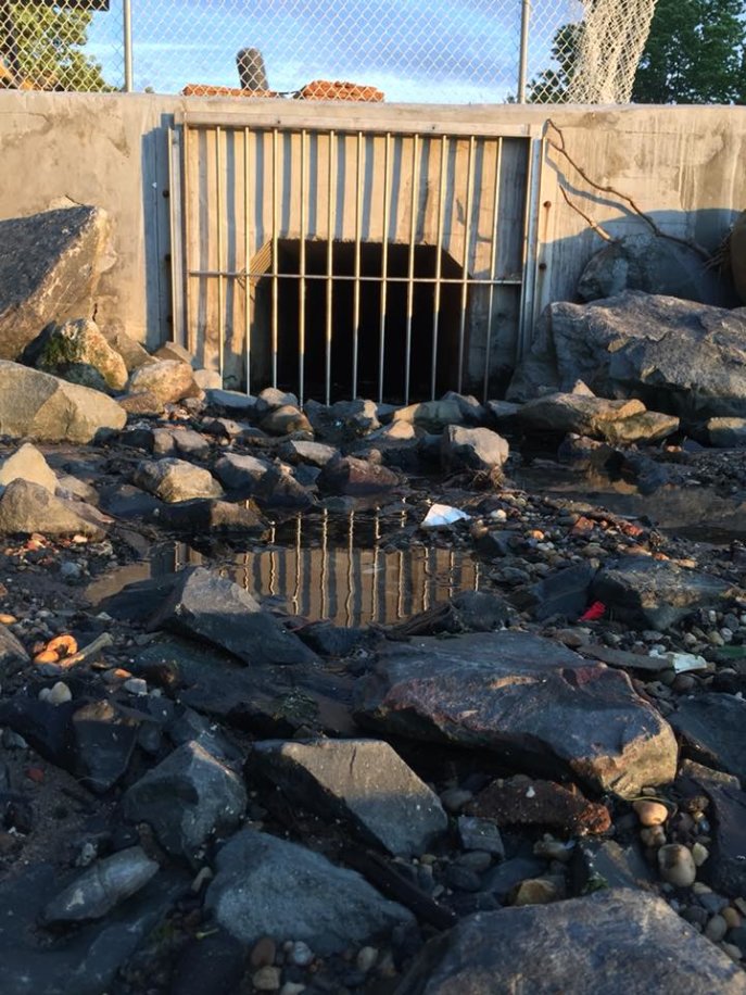 DEP to extend stormwater outfall pipe to protect thriving oyster reef ...