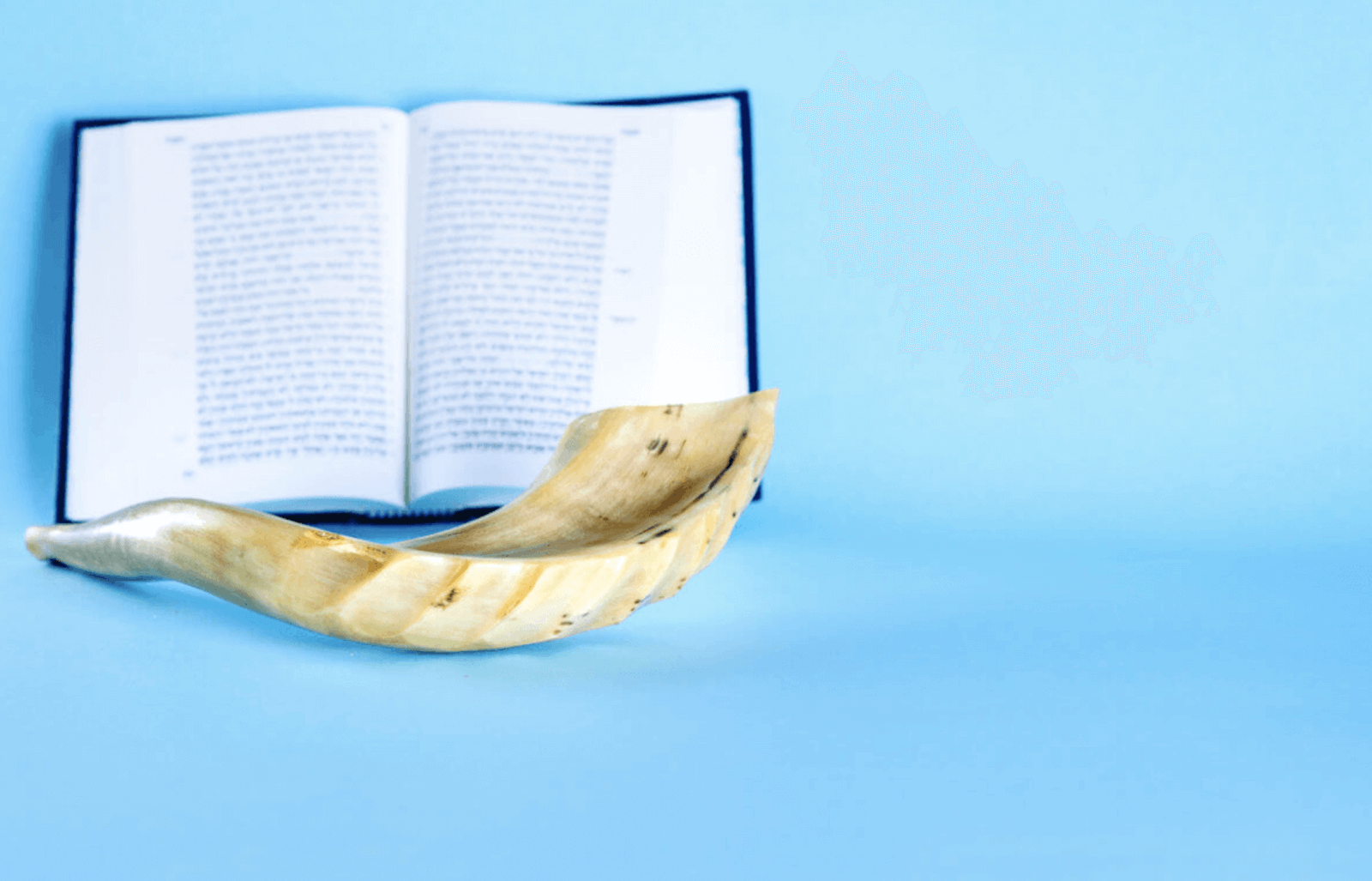 How to celebrate Yom Kippur in 2020 – QNS.com