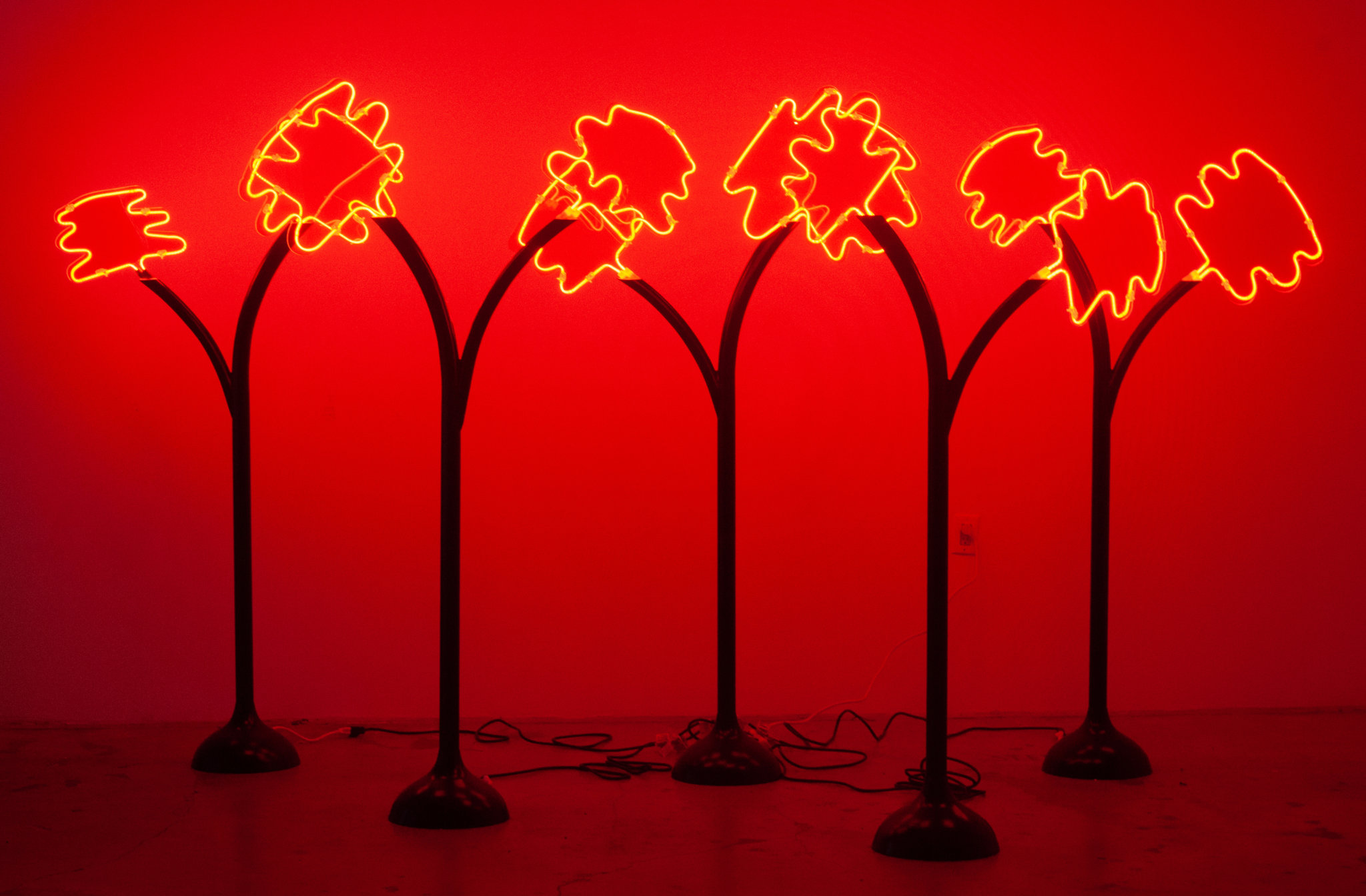 Light exhibition brings art to new dimension in Queens | amNewYork