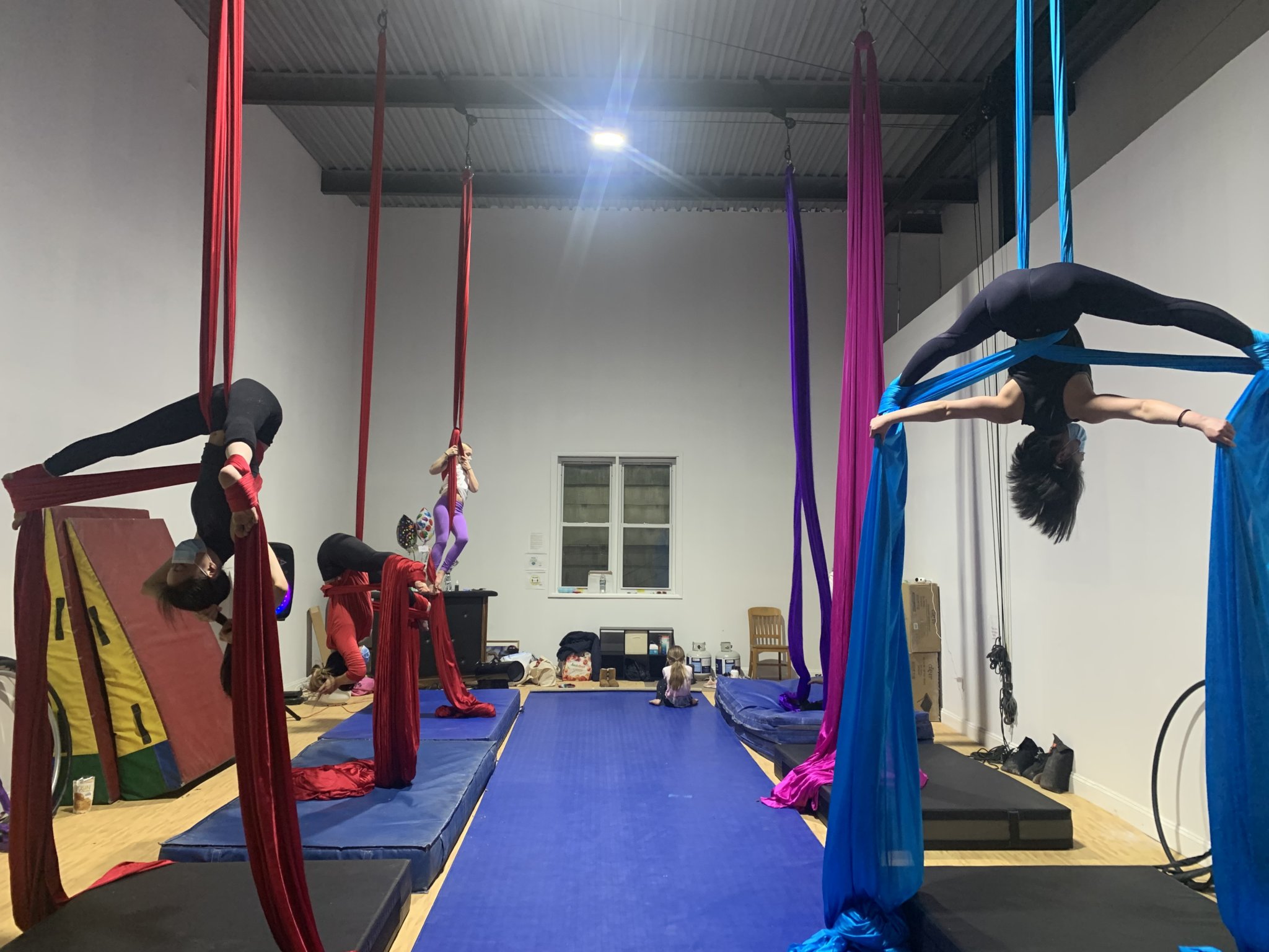 Aerial arts studio opens permanent location in College Point following ...