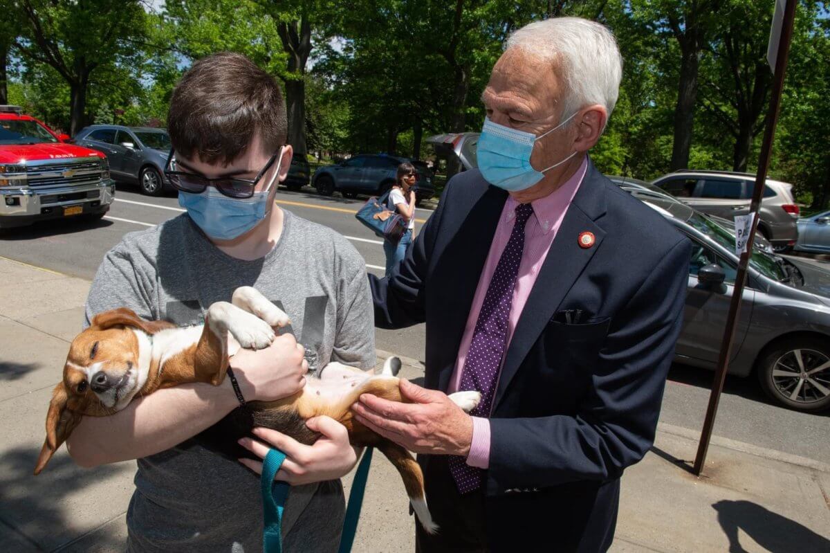 Middle Village councilman hosts pet adoption event to unite some ‘fur ...