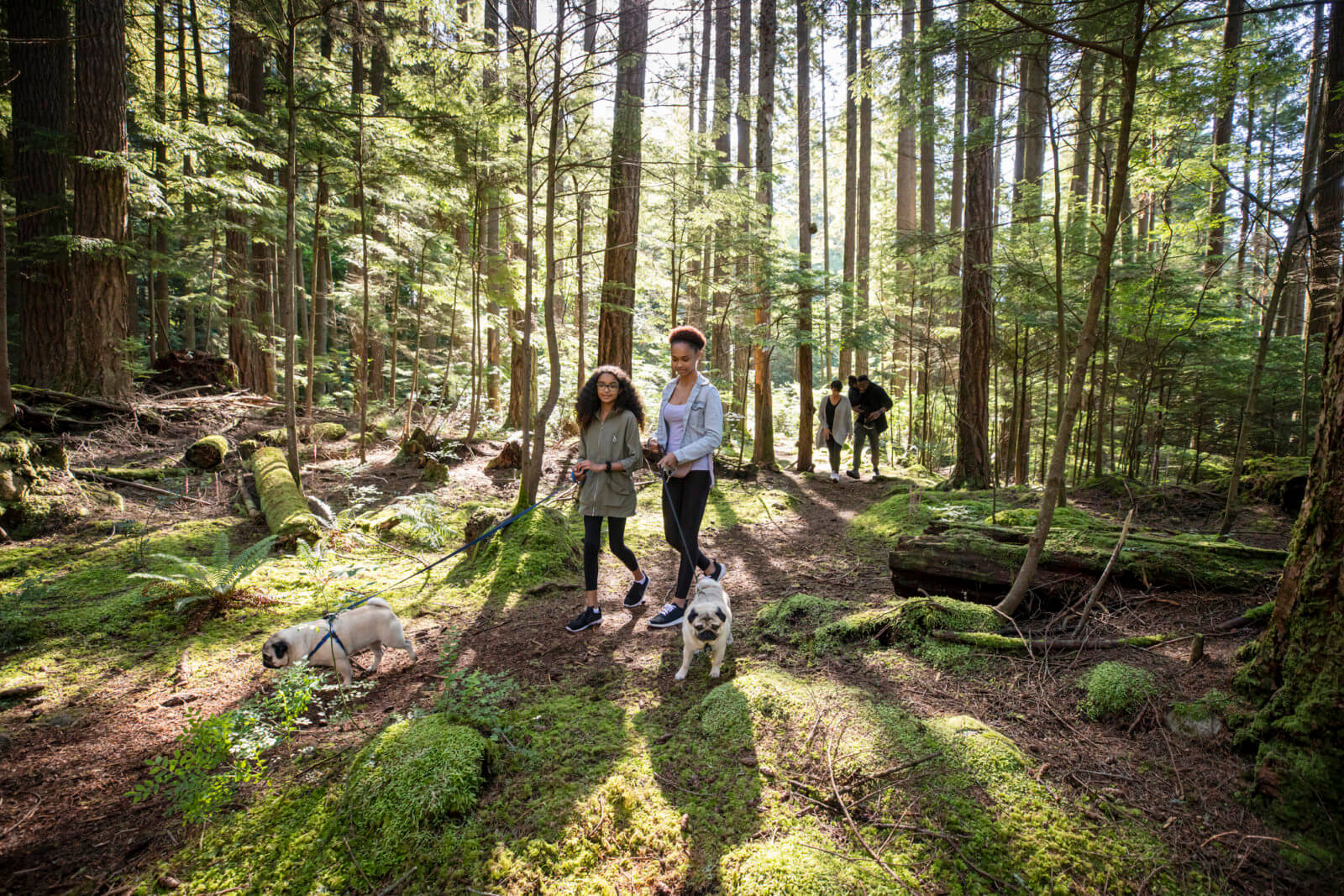 QNS Weekender: 20 things to do in Queens – QNS.com