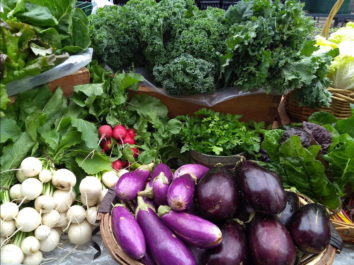 Borough president teams up with Queens Farm to bring new farm stand to ...