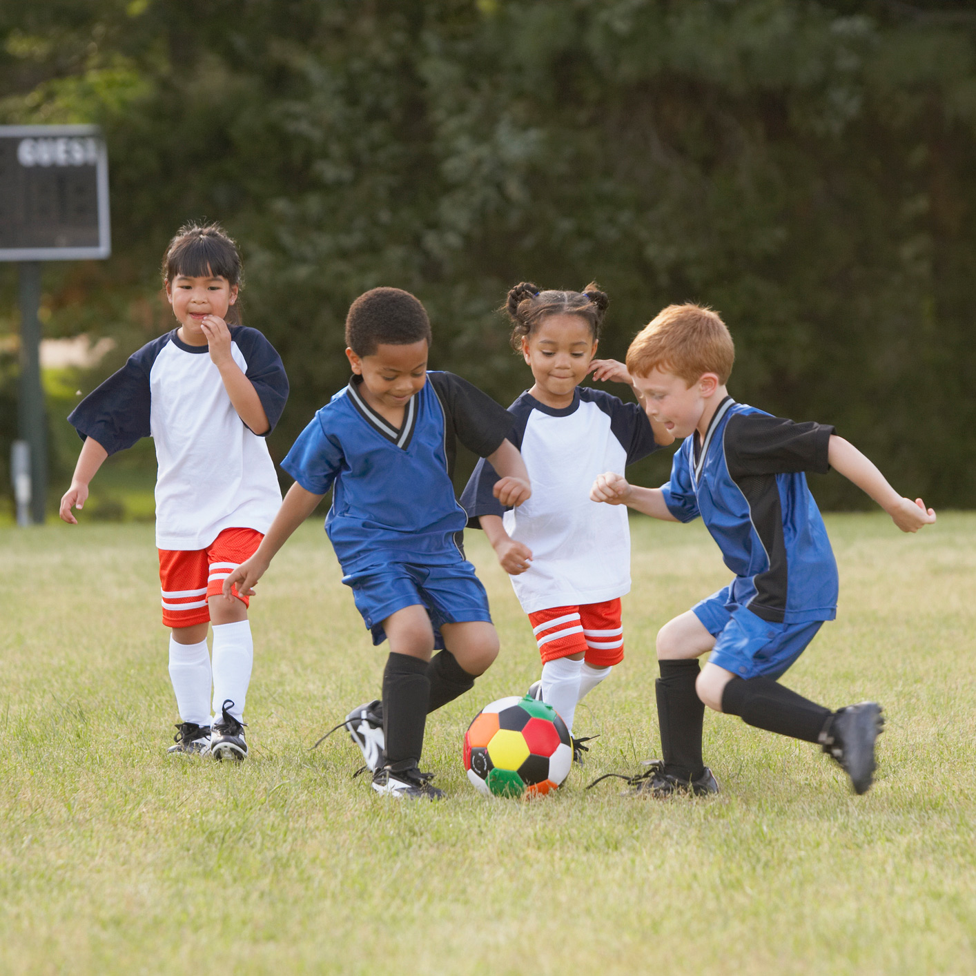 Spotlight on Bethpage Best of the Boro 2021 winners: Summer sports for ...