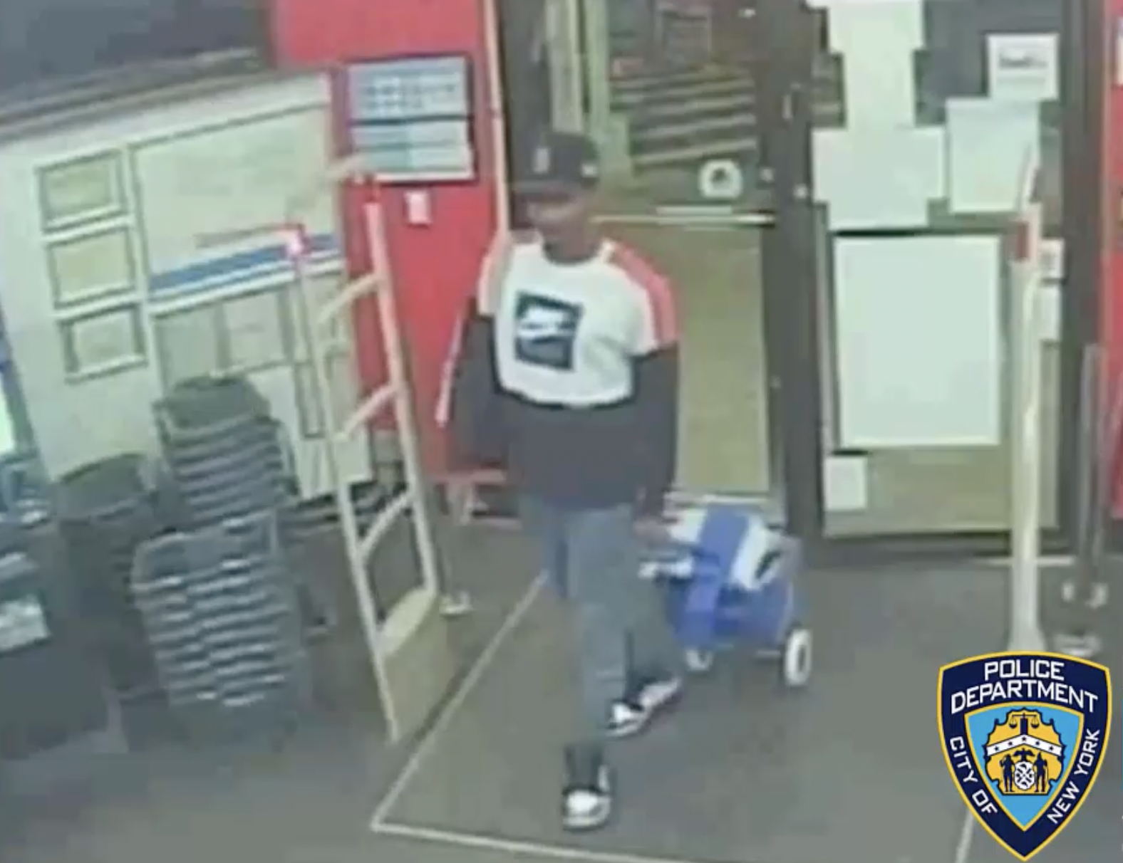Thief allegedly stole more than $1,000 from Walgreens in Astoria – QNS