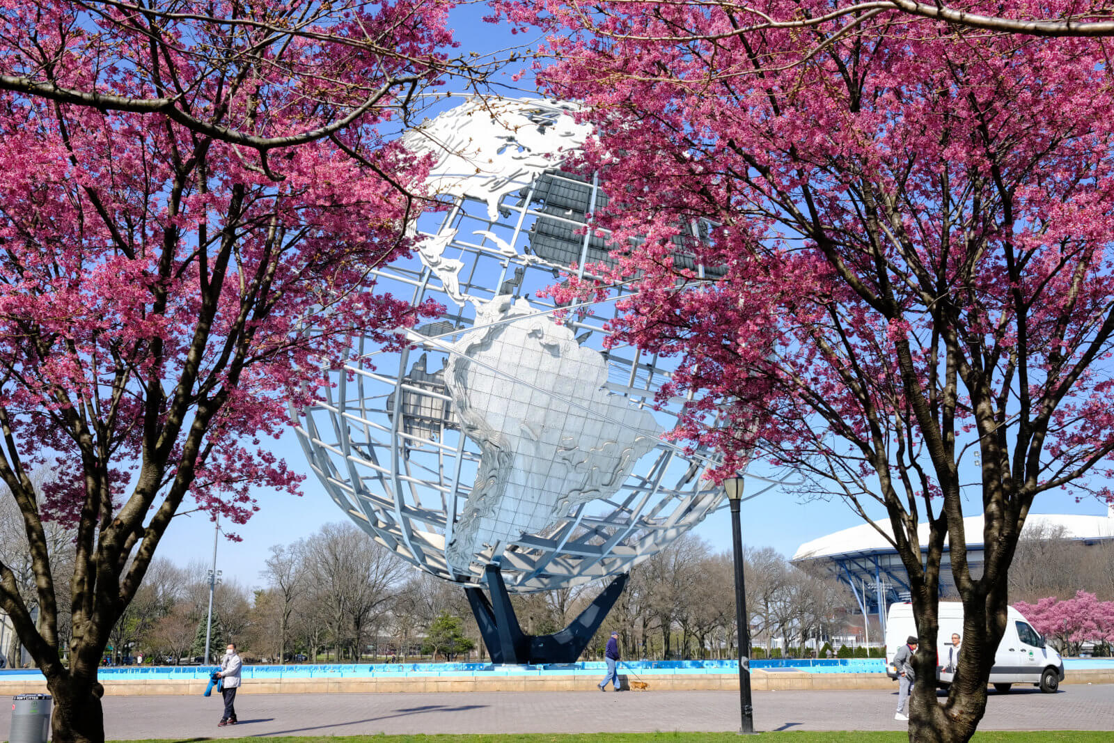 Cherry blossoms are in full bloom around Queens – QNS.com