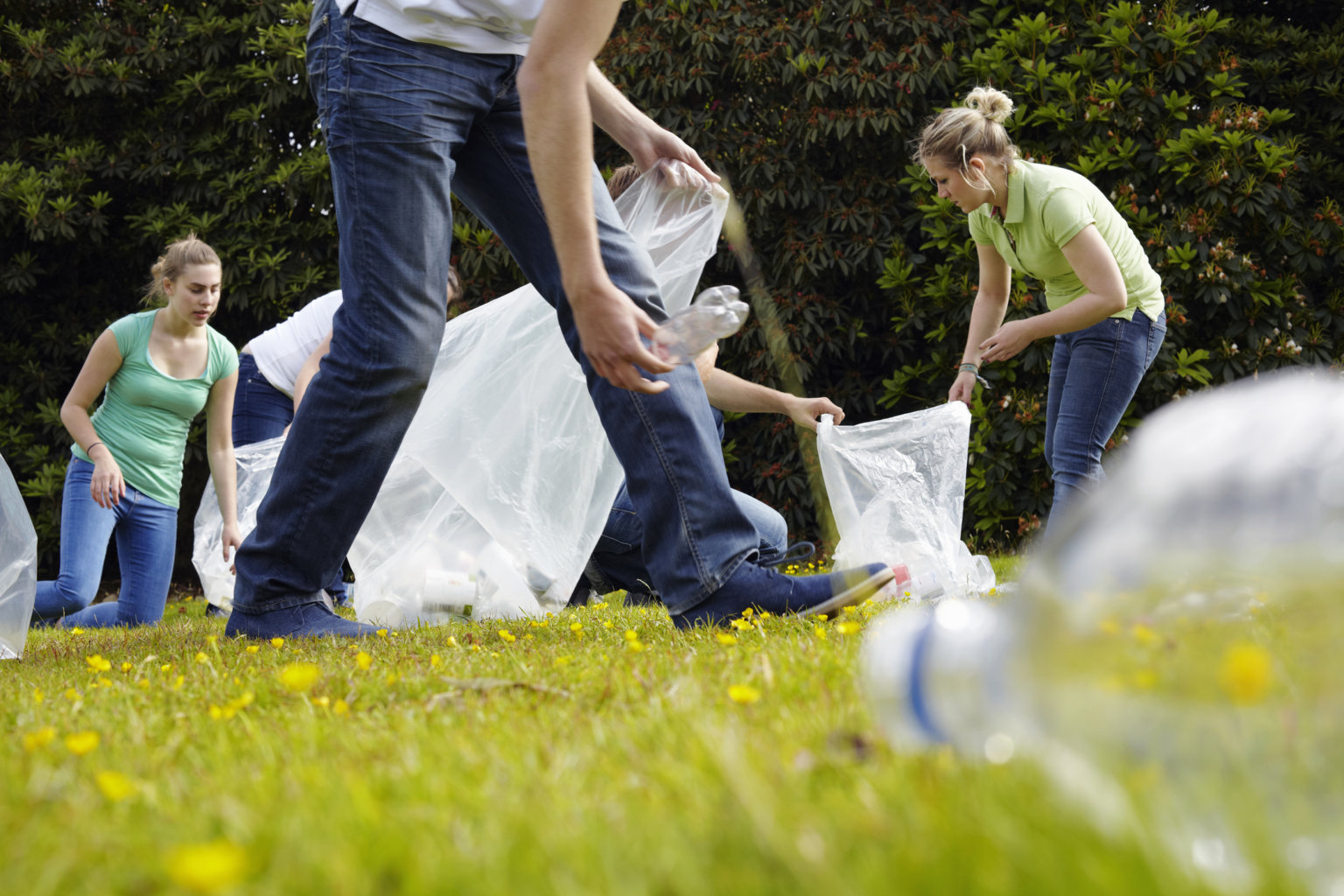 Councilwoman Lee announces litter cleanup throughout District 23 in ...