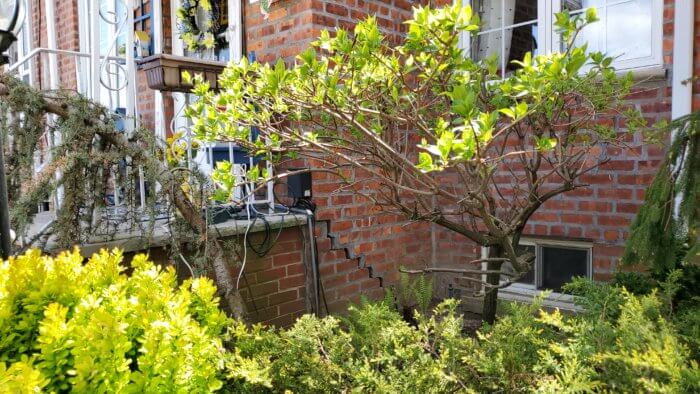 RBG statue to be unveiled in Downtown Brooklyn | amNewYork