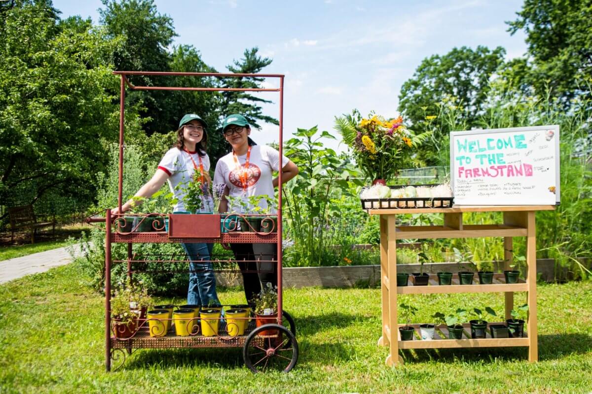 QNS Weekender: Five things to do in Queens – QNS.com