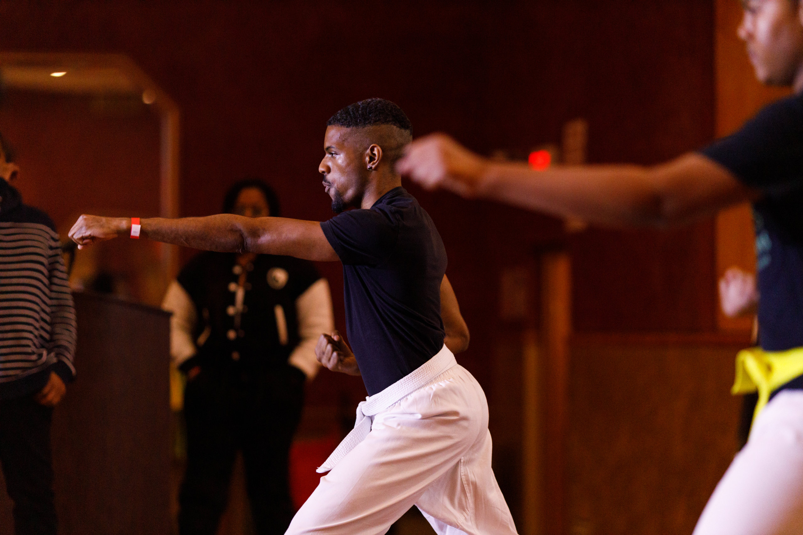 Queens DA hosts Black History Month celebration in Rochdale Village – QNS