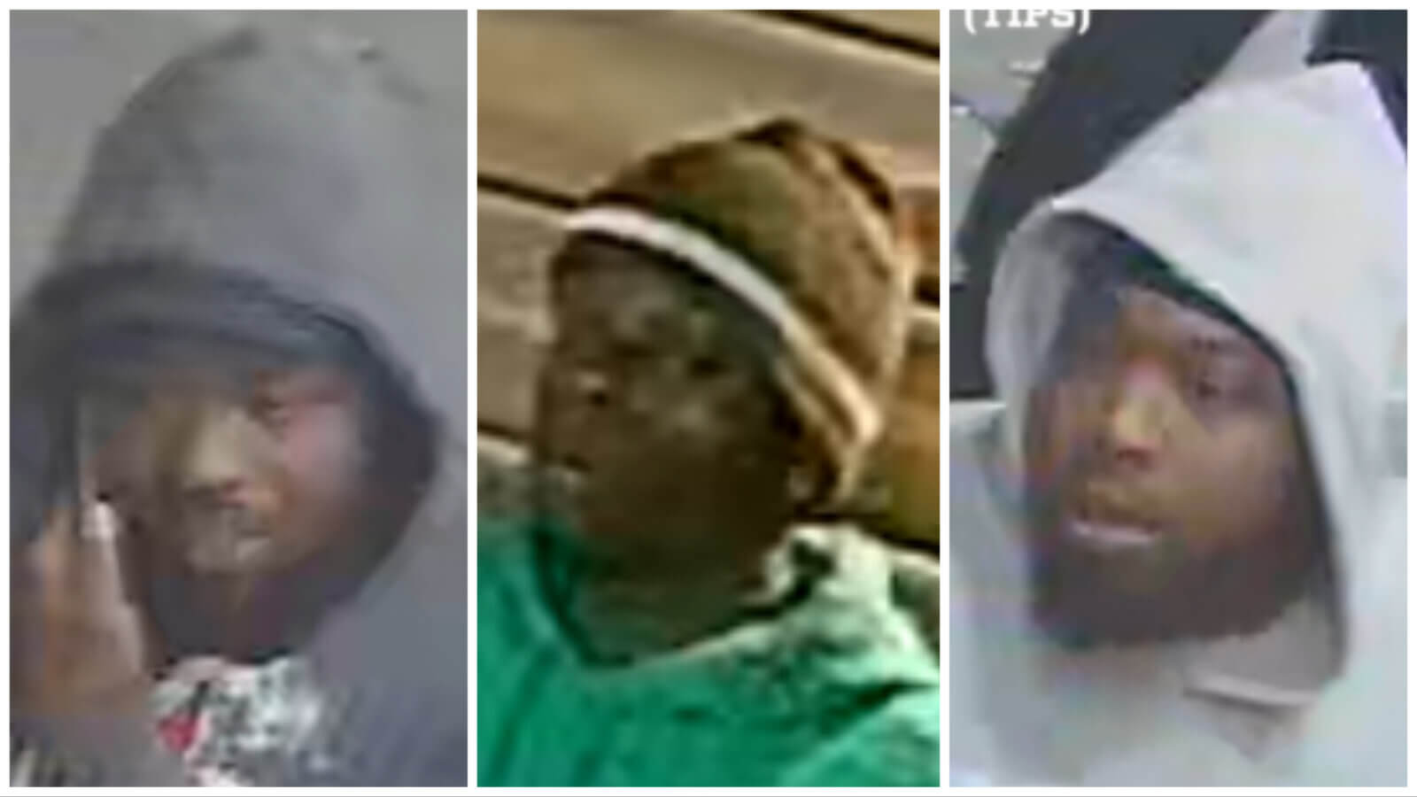 Earl explores mind of Muppets maker | amNewYork