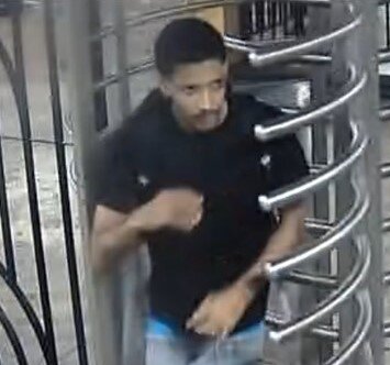 Crook put young woman in a headlock before robbing her at Elmhurst ...