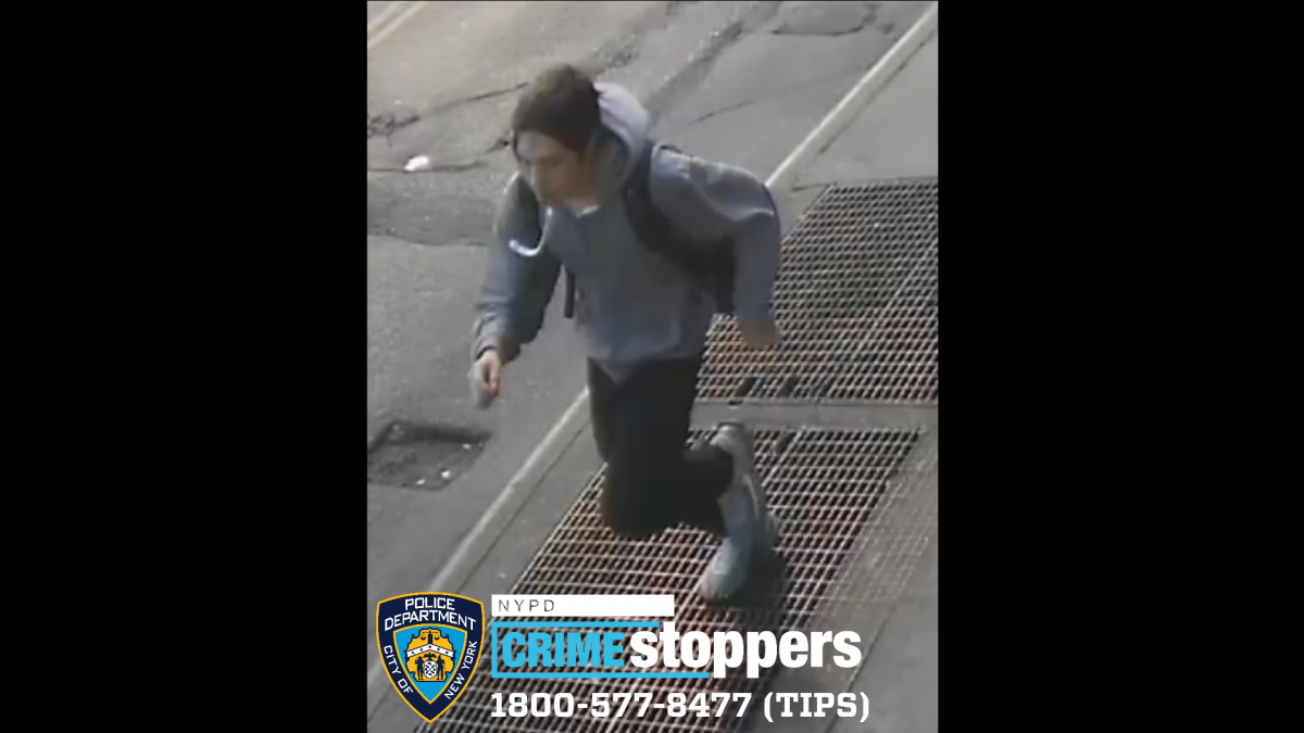 Crook steals backpack from straphanger on Brooklyn-bound L train in ...