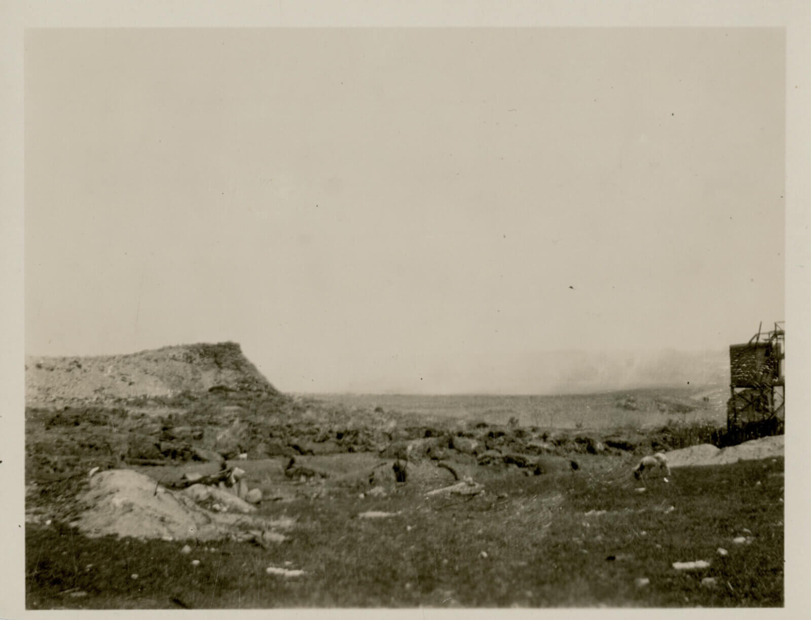 A trip down memory lane: Revisiting the rich history of Flushing ...