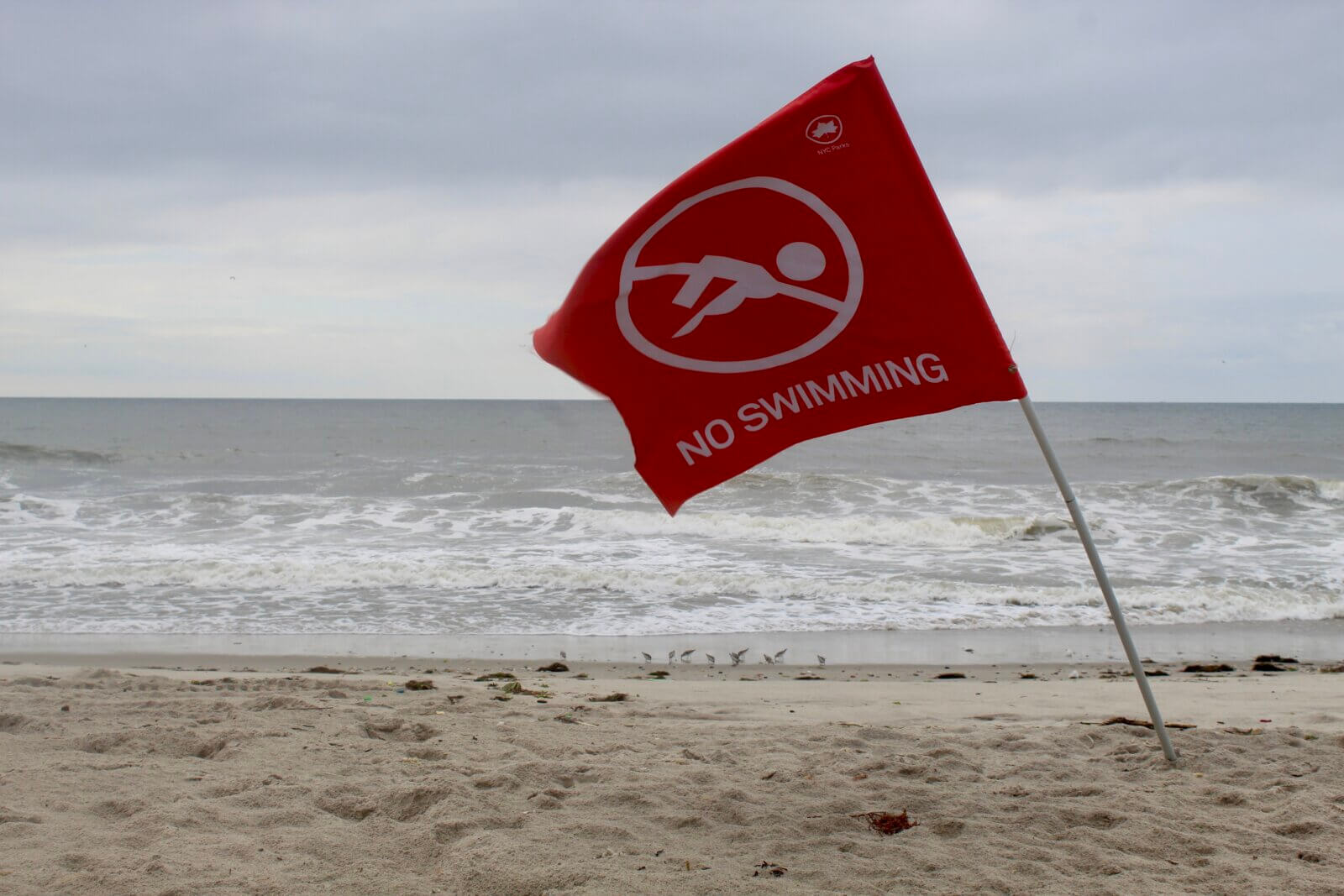 Woman in stable condition after suffering shark bite while swimming at ...