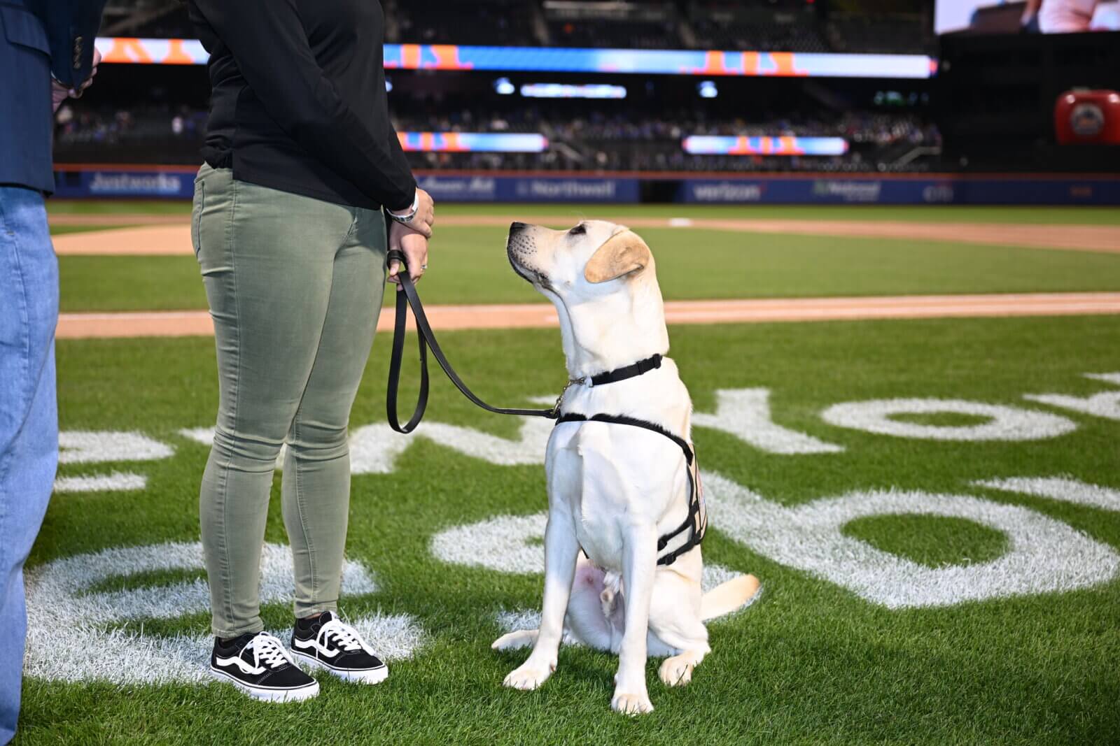 Amazin’ Mets Foundation’s first service dog paired with first responder ...