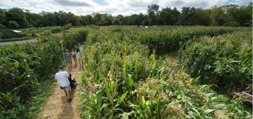 A conversation with Jennifer Walden Weprin: Reflecting on a ...