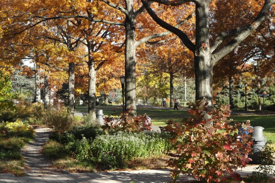 Queens Botanical Garden launches series of fall workshops – QNS