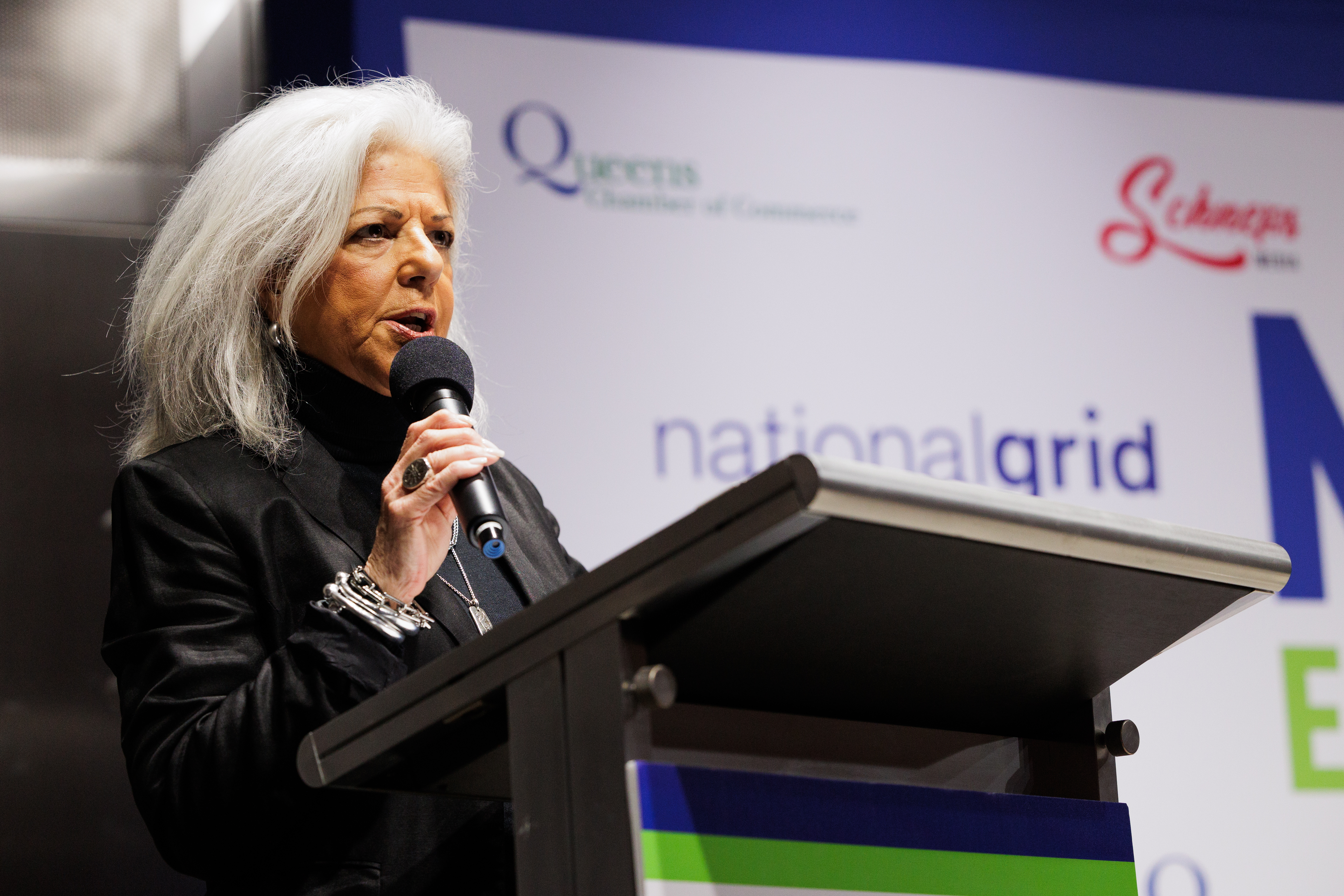 Joann Ariola rises to Minority Leader in NYC Council after contested ...