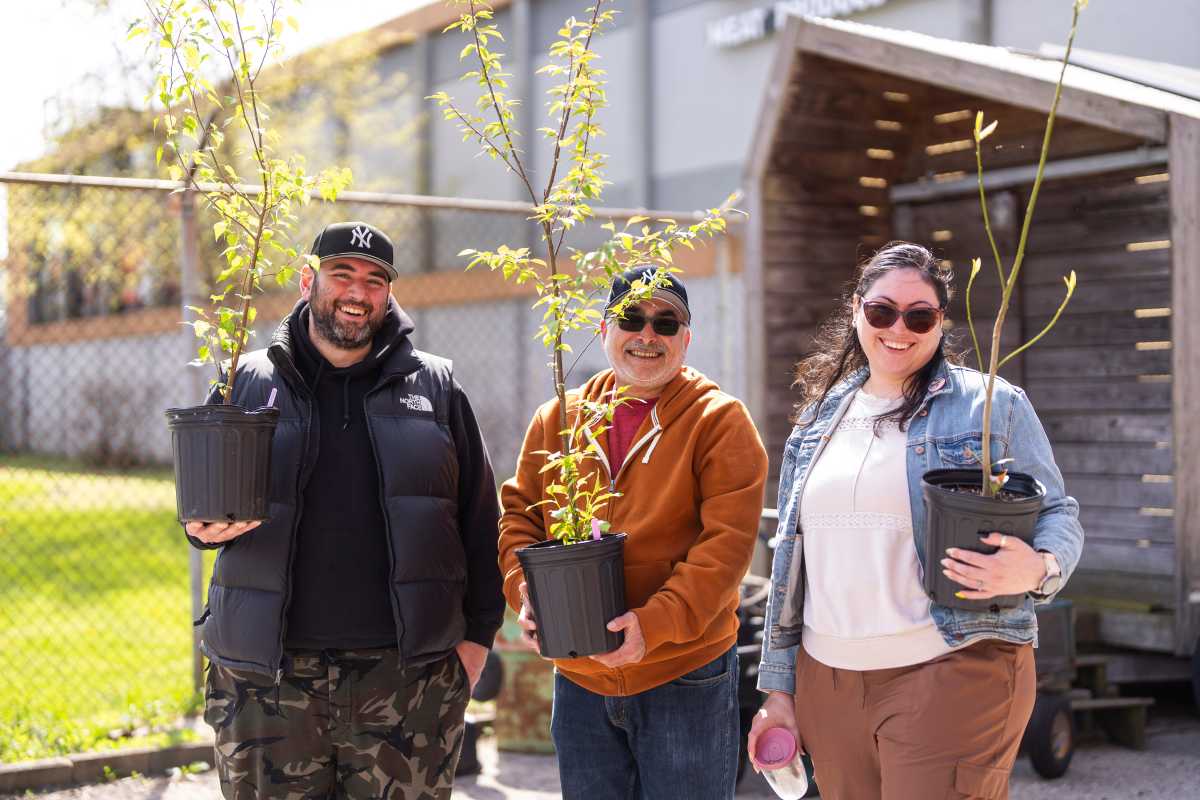 Free trees for Earth Month: NYRP to host tree giveaways across Queens ...
