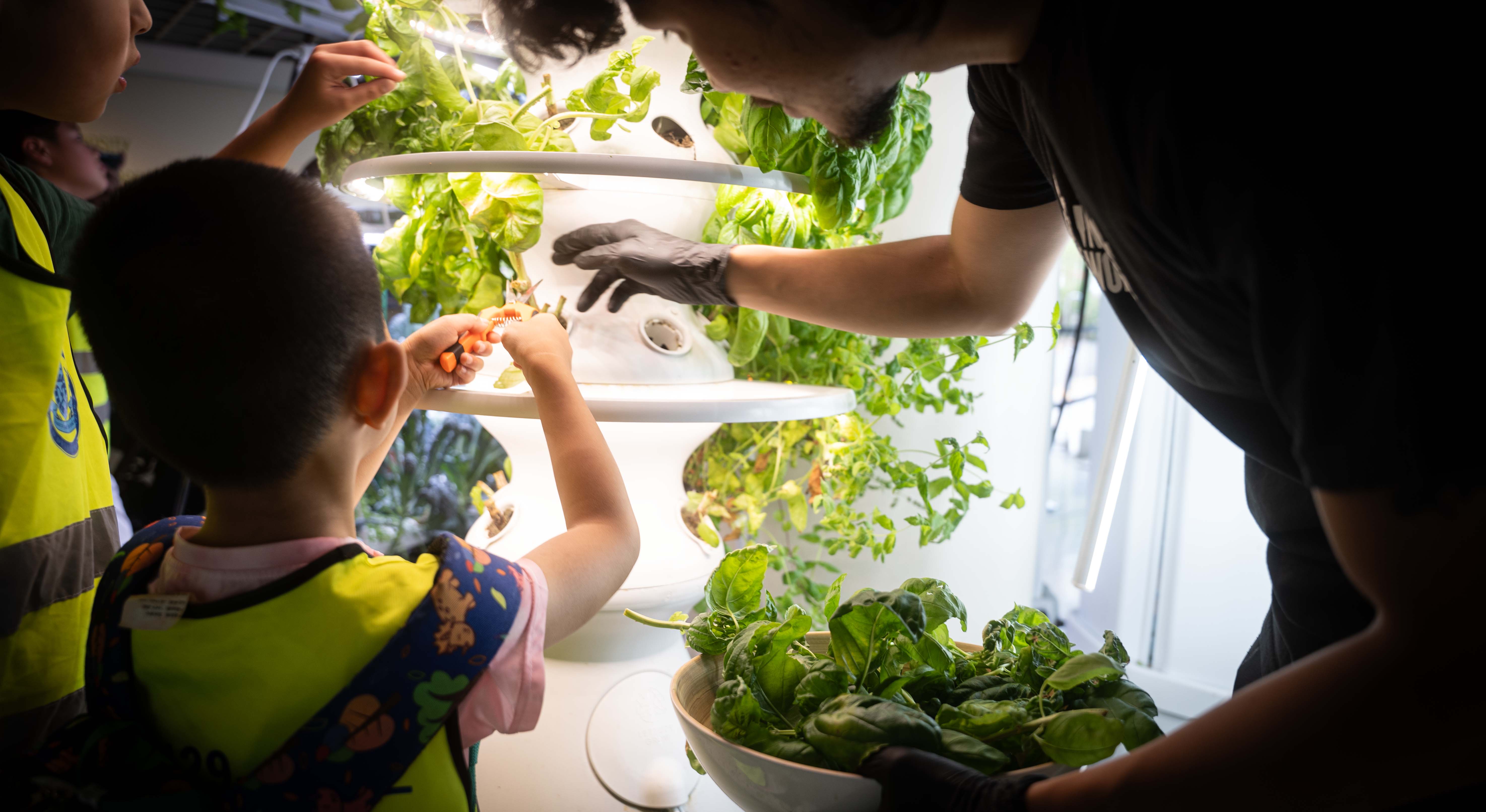 Queens families harvest over 50 pounds of produce at NYSCI’s ...
