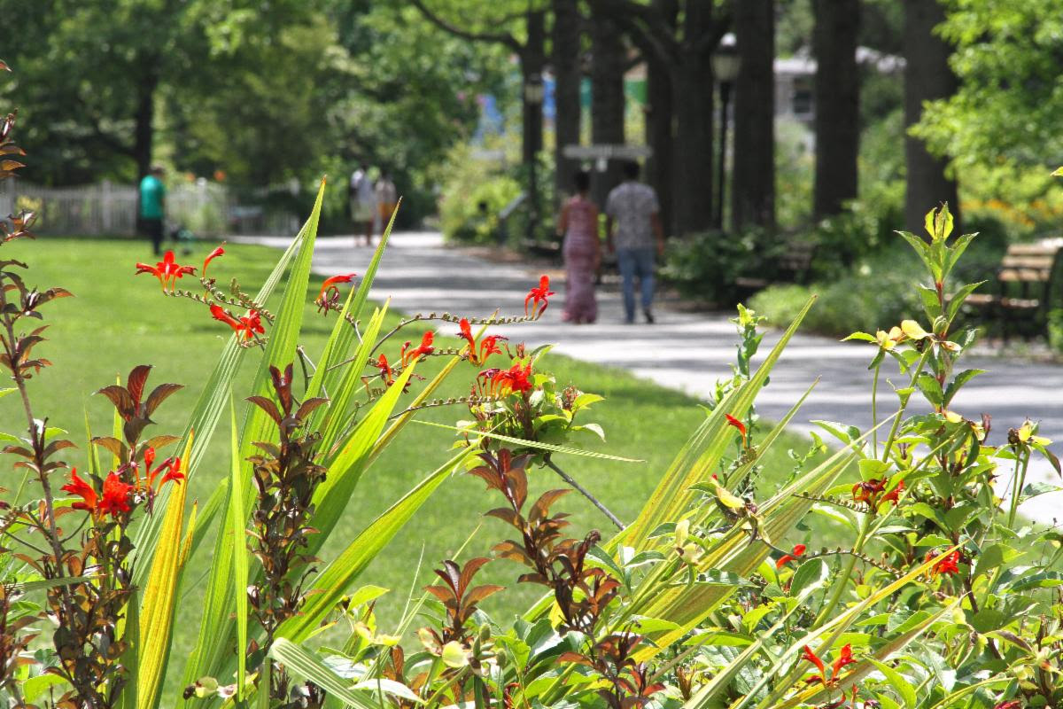 Escape to nature: Queens Botanical Garden’s unforgettable July