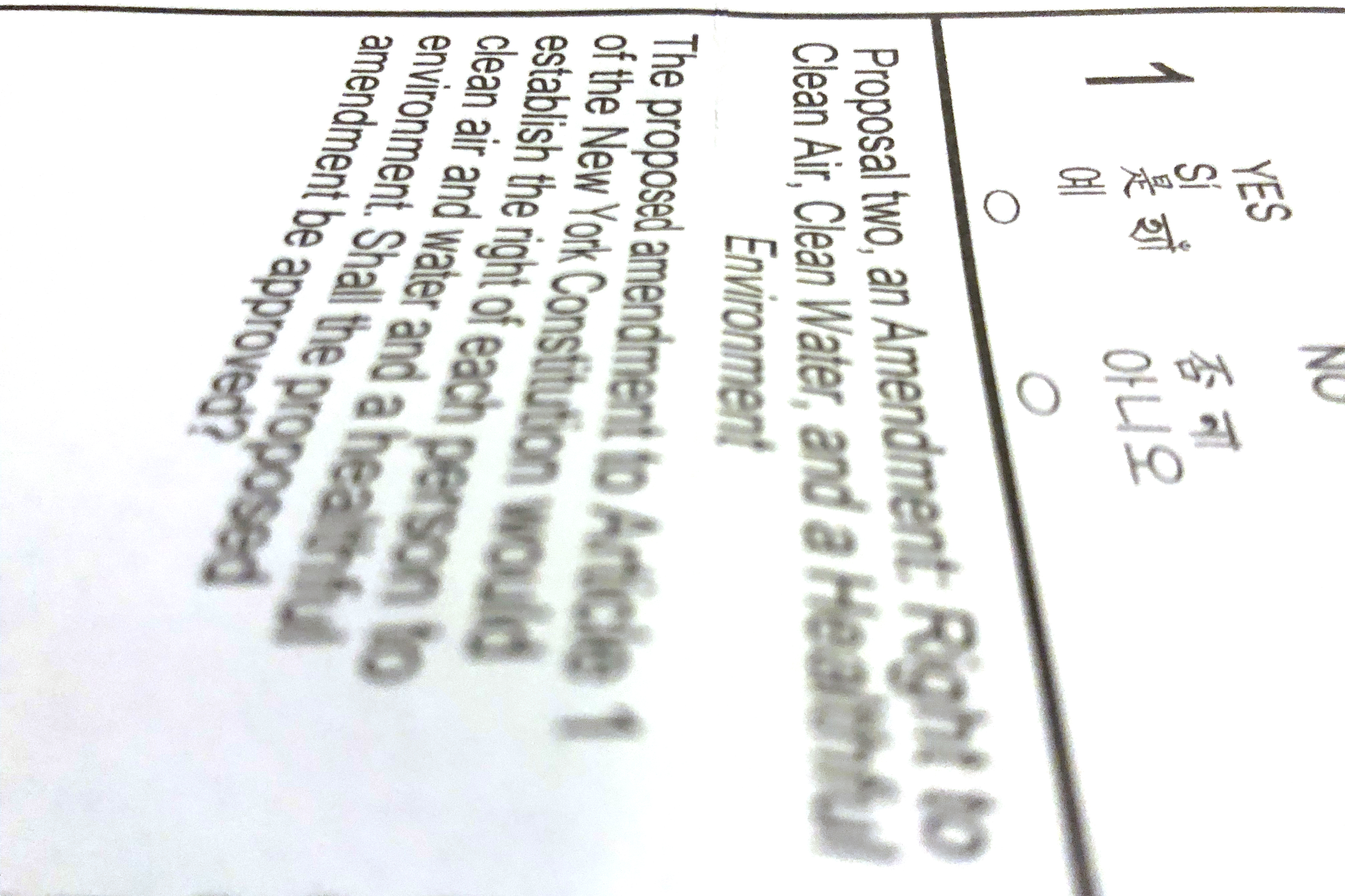 What the Five Ballot Proposal Questions Mean for New Yorkers this ...