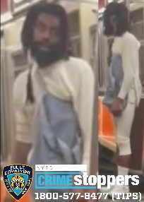 Hatched: A hands-on farm adventure for kids at Flushing Town Hall